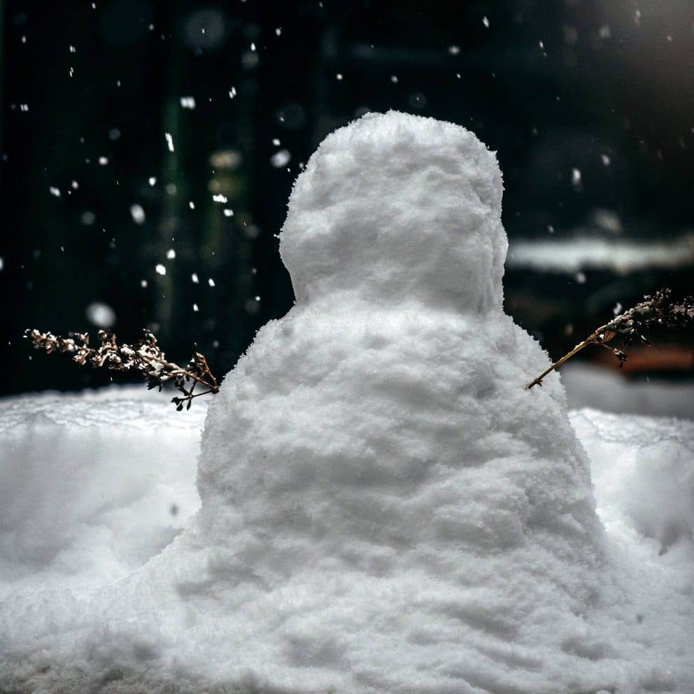 FICTION | Snow Wars | the CULTURE VULTURE
